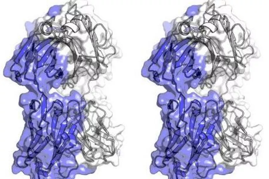 Oxford Protein Informatics Group create Computational Antibody Design ...
